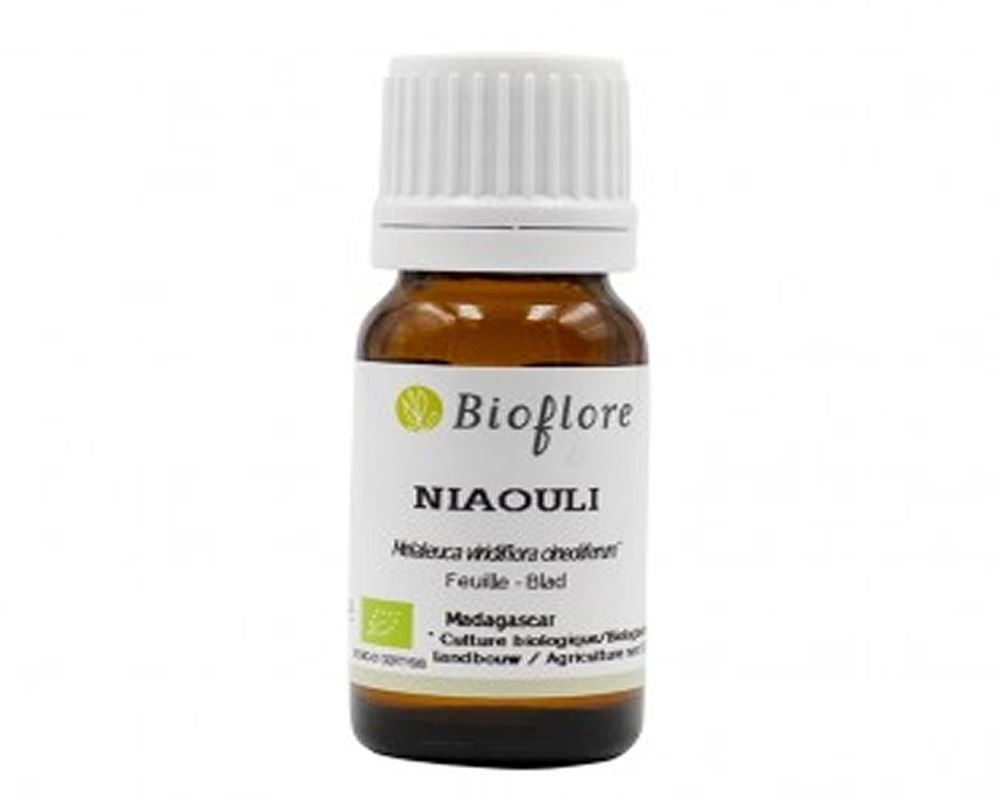 melaleuca viridiflora leaf oil