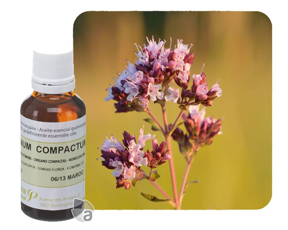 Origanum compactum: essential oil of oregano - Pranarom