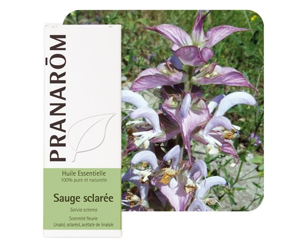 Salvia sclarea : huile essentielle naturelle de sauge sclarée - Pranarom.