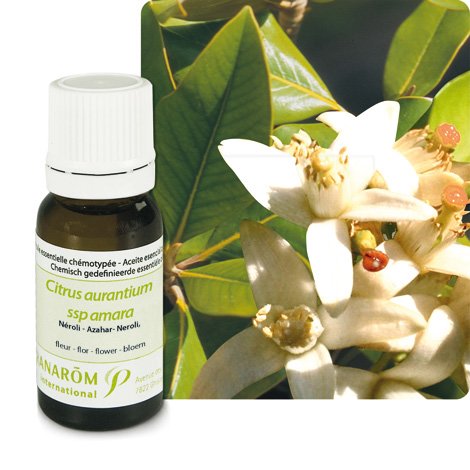 Huiles essentielles naturelles - Néroli (Citrus aurantium ssp amara ...