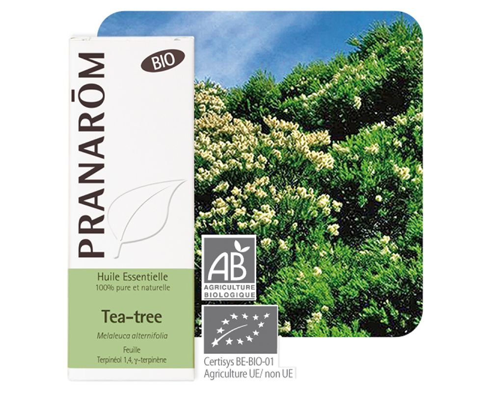 Huile essentielle Tea tree - BIO - Pranarôm - 10 ml