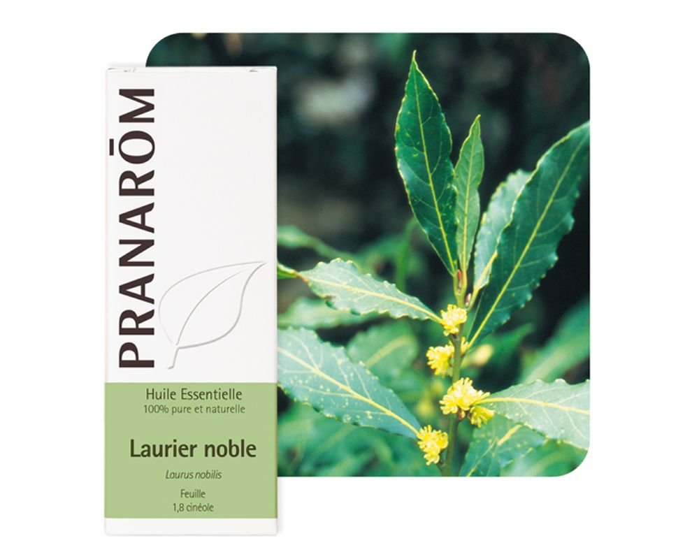Huile essentielle de Laurier noble - 5ml - Pranarôm.