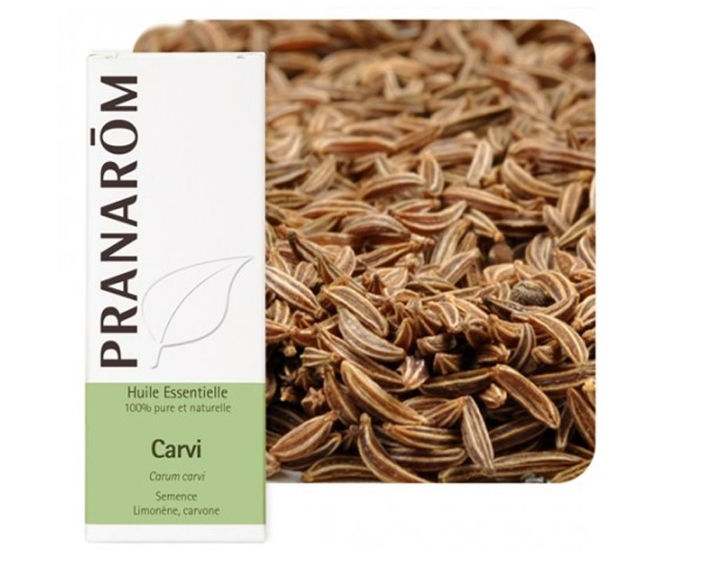 Huile essentielle de Carvi (Carum carvi) - 10ml - Pranarôm.
