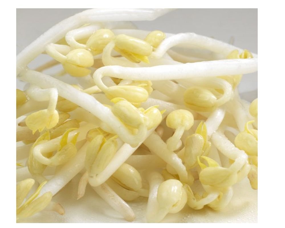 Graines à germer - Haricot Mungo (soja vert) - bio - 200g - Germline