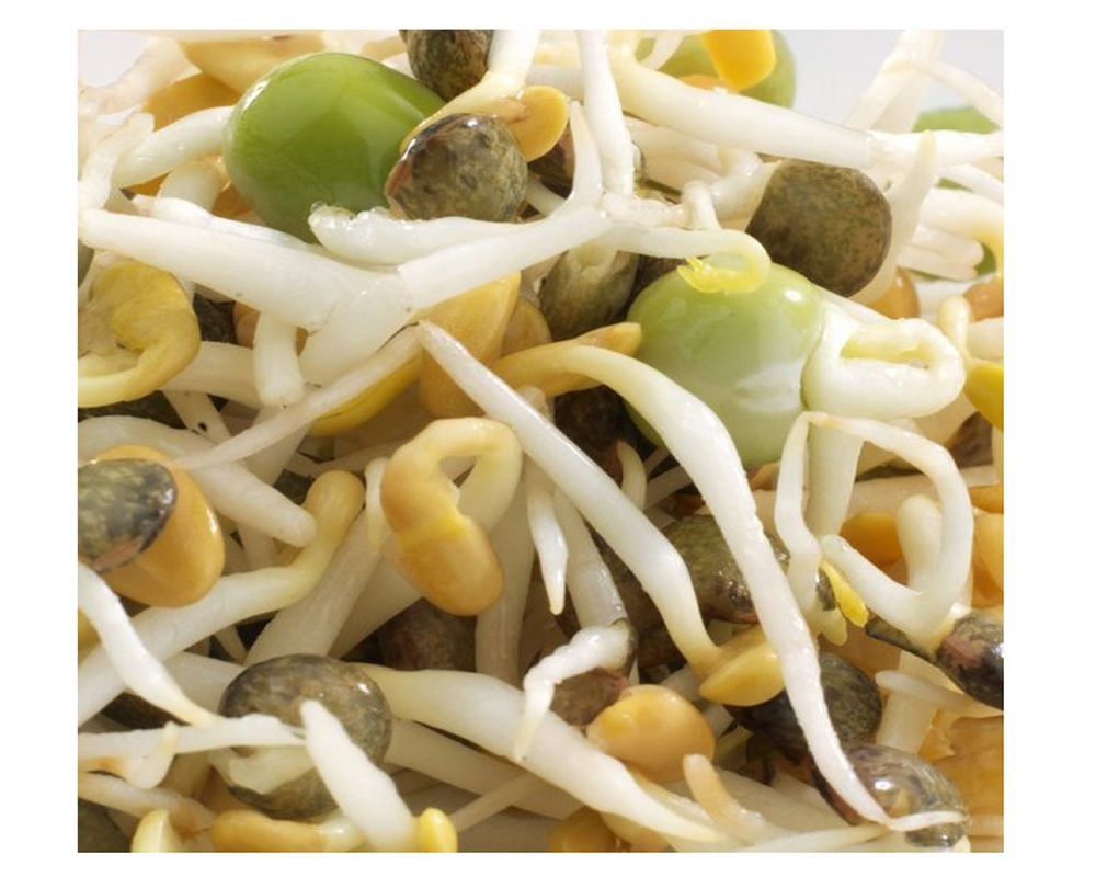 Seeds germinate - Mix Protein - 200g - Germline