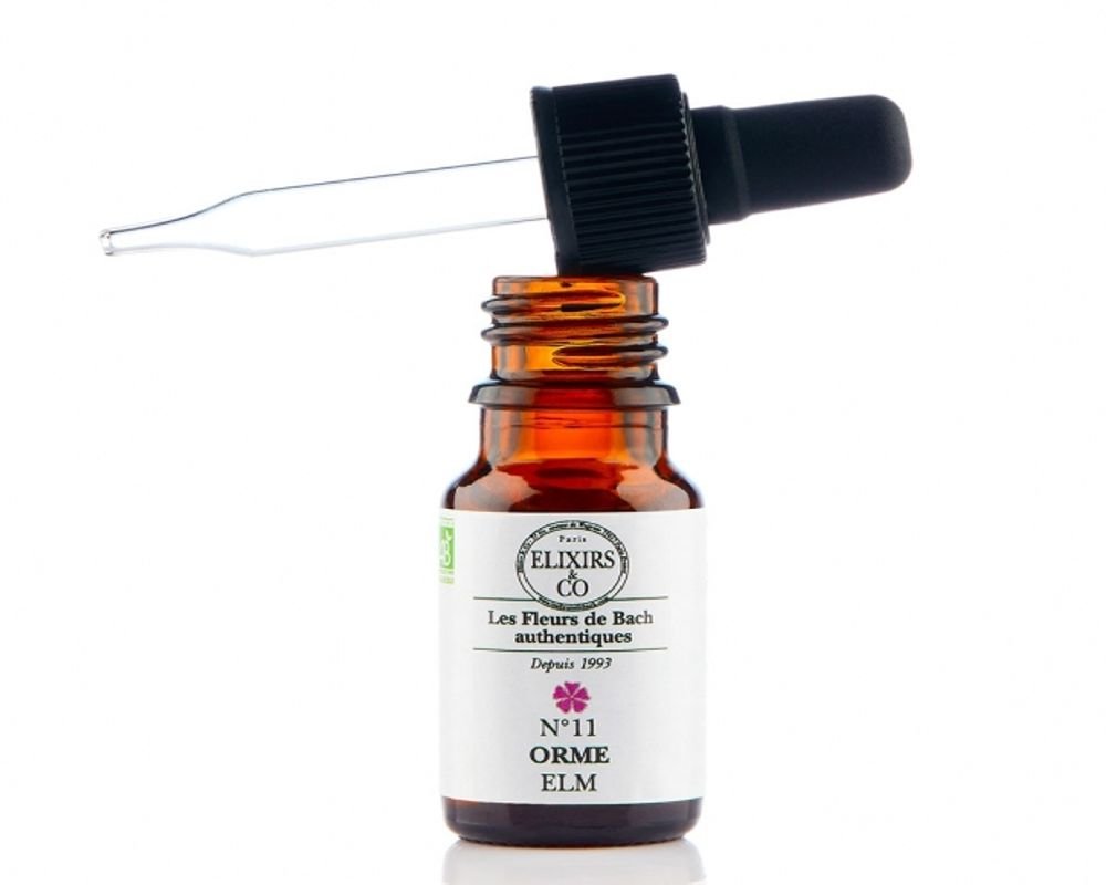 Fleur de Bach 11 - Elm Orme - Elixirs & Co - 10 ml