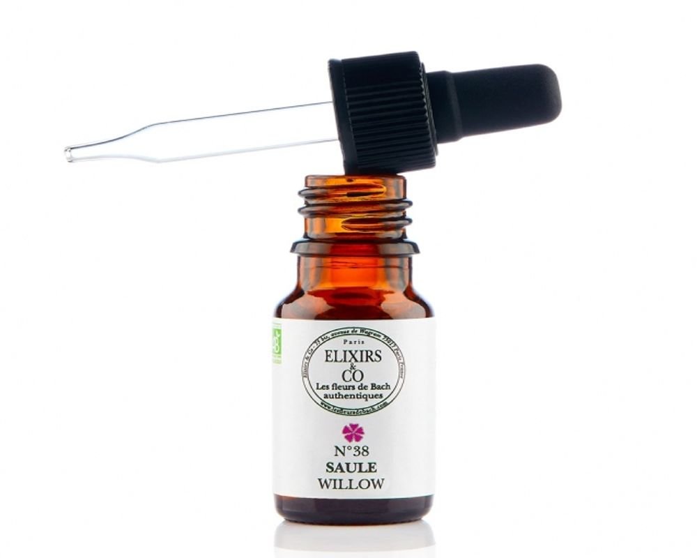 Fleur de Bach 38 - Willow Saule - Elixirs & Co - 10 ml