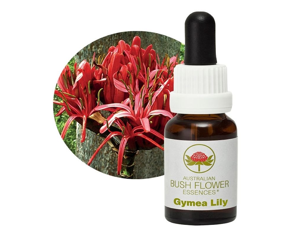 Bush Gymea Lily – Élixir floral pour cultiver l’humilité et l’écoute