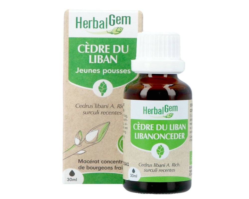 Cedar bud (Cedrus libani) BIO - Herbalgem - 50 ml.