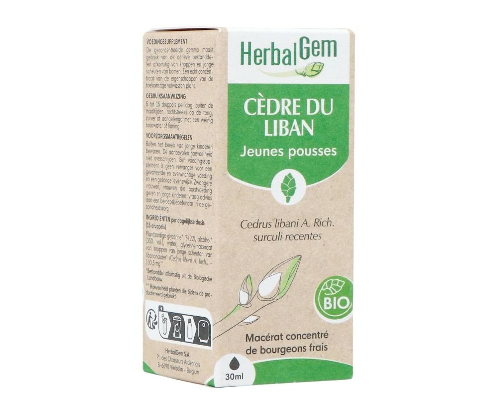Cedar bud (Cedrus libani) BIO - Herbalgem - 50 ml.