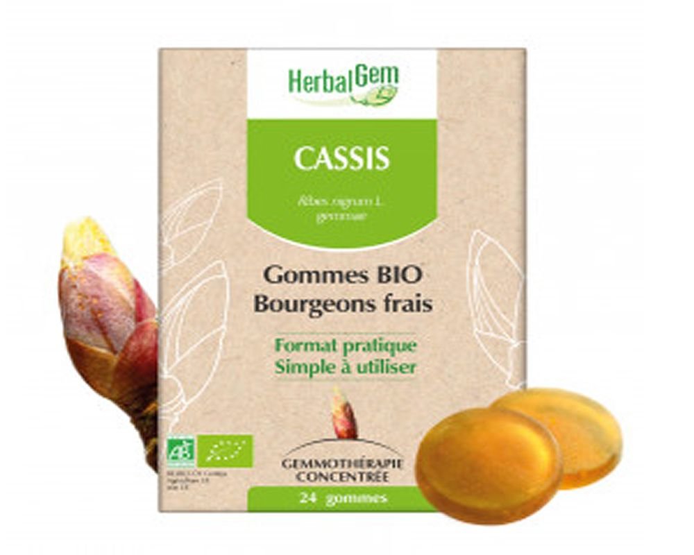 Pastilles bourgeon Cassis bio - 24 gommes - Herbalgem