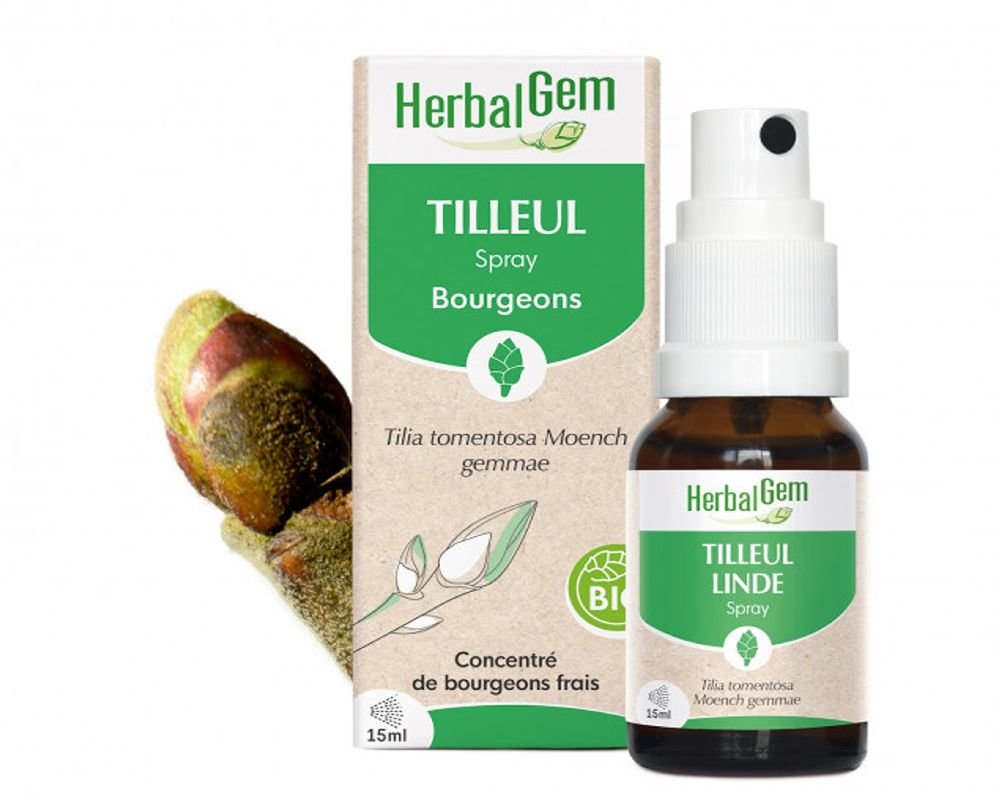 Tilleul (Tilia tomentosa) - bourgeon - bio - Herbalgem - 15 ml