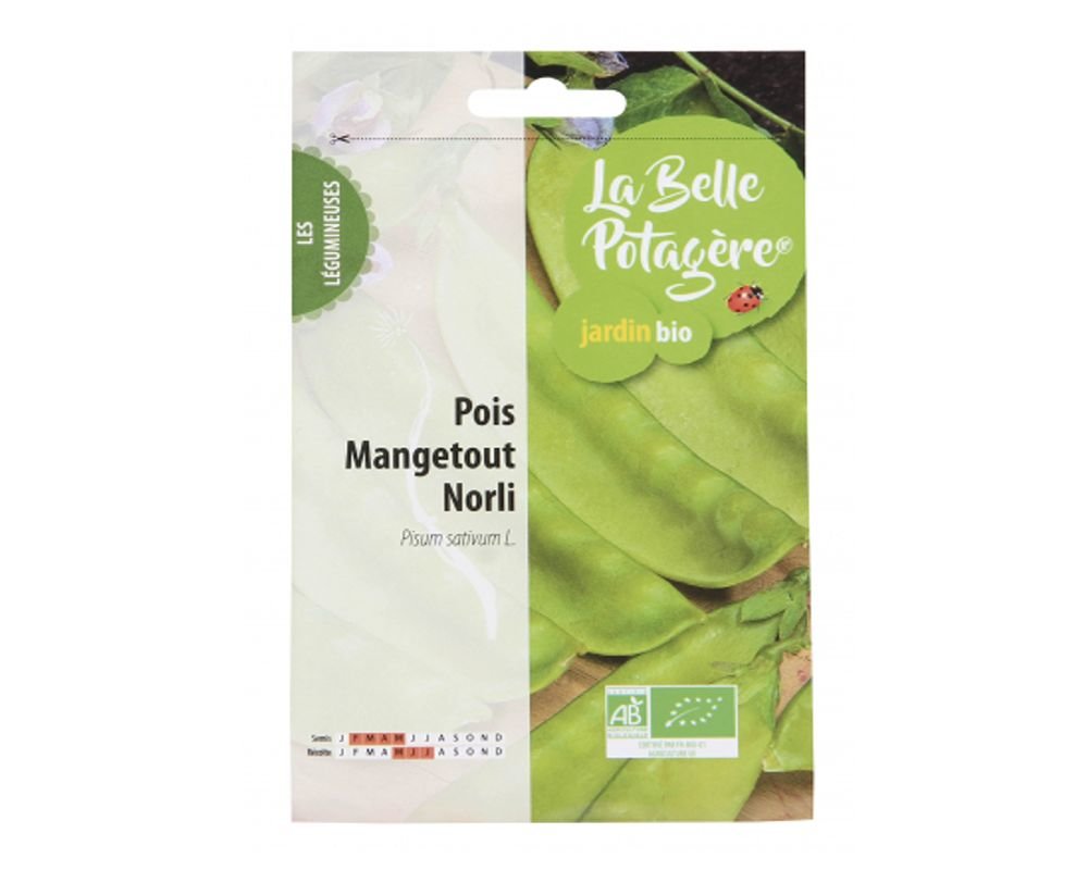 Mangetout Norli Peas - Organic reproducible seeds