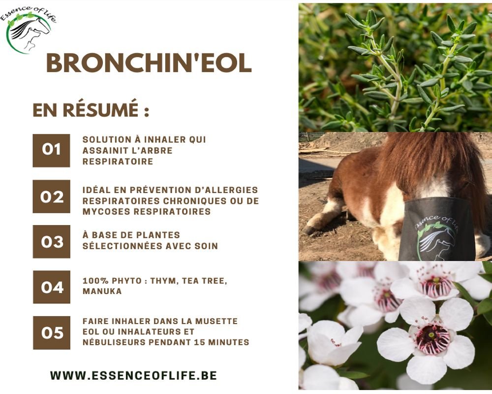 Bronchin'Eol - Essence of Life - 100 ml