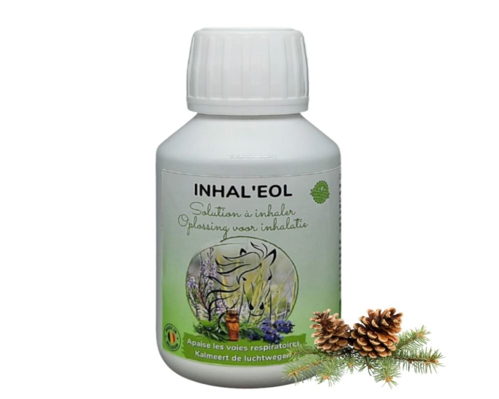 Inhal'Eol - Essence of Life - 100 ml