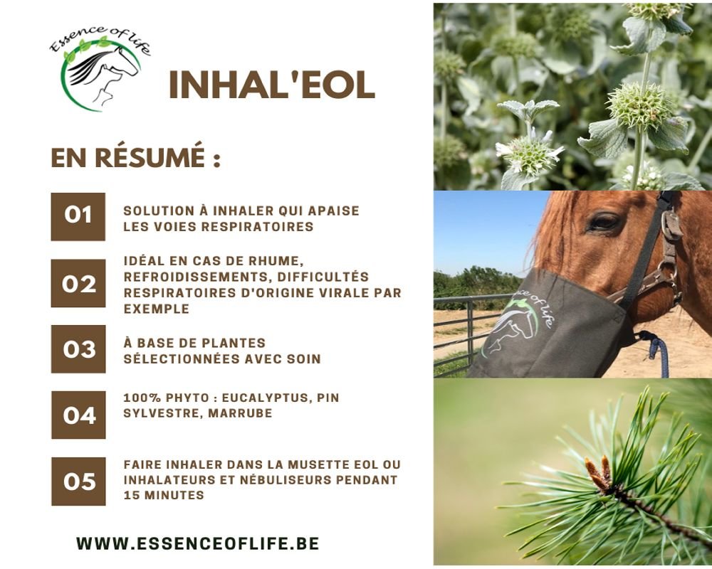 Inhal'Eol - Essence of Life - 100 ml