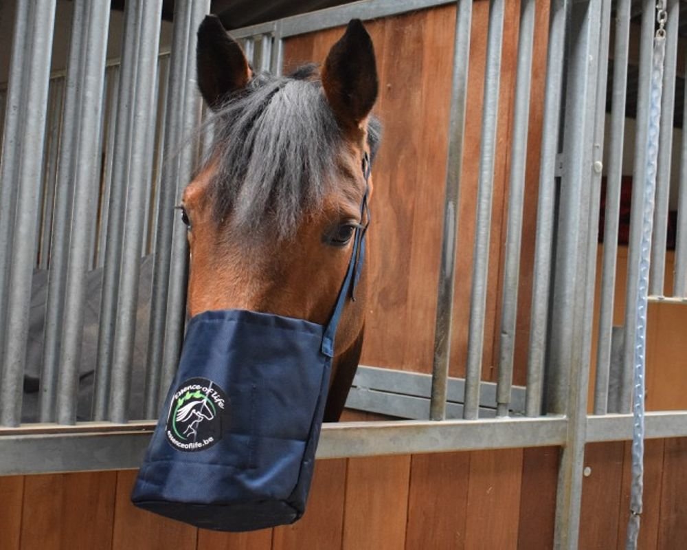 Mask'Eol - Essence of Life - Masque d'inhalation réutilisable