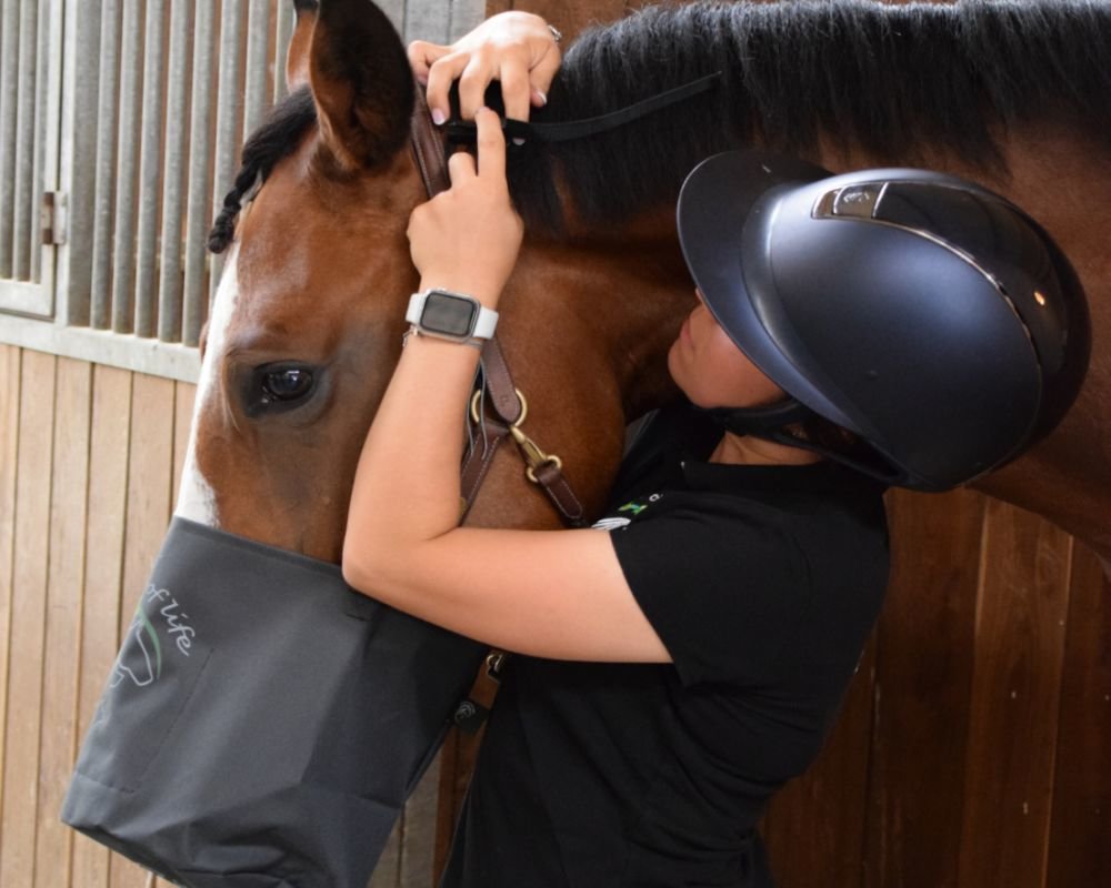 Mask'Eol - Essence of Life - Masque d'inhalation réutilisable