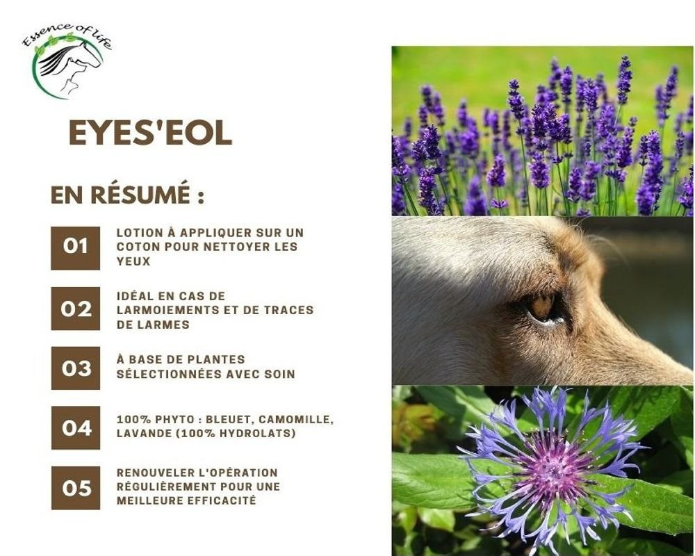 Eyes'Eol - Essence of Life - 100 ml