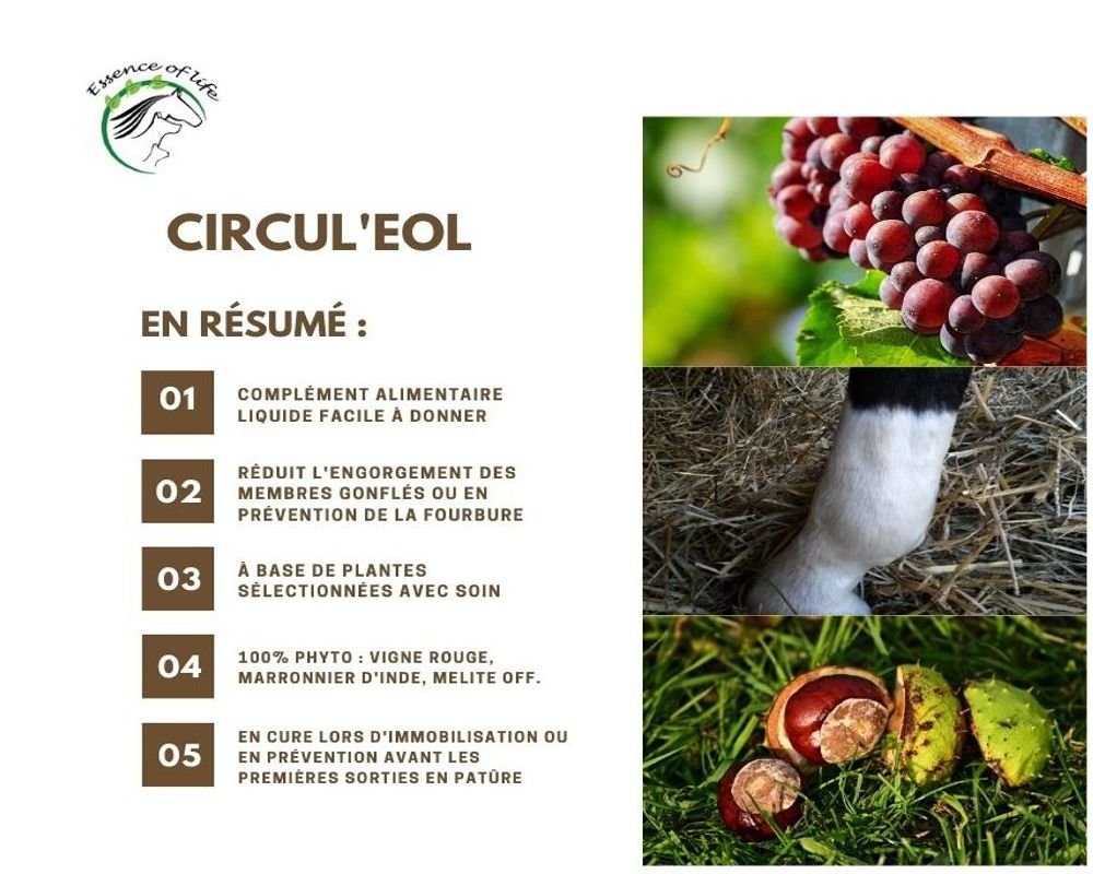 Circul'eol