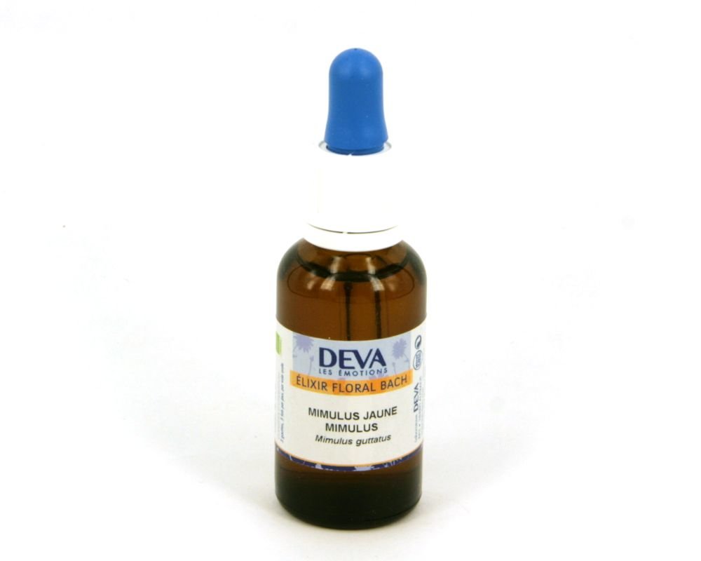 Fleurs de Bach : timidité - anxiété - sensibilité - mimule (mimulus).