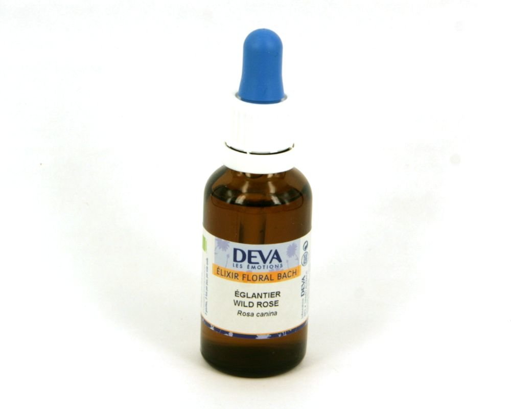 Eglantier - fleurs de Bach : motivation - vitalité.