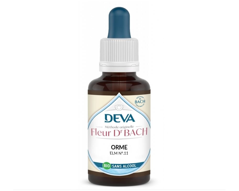 Orme (Elm - N°11) - SANS ALCOOL