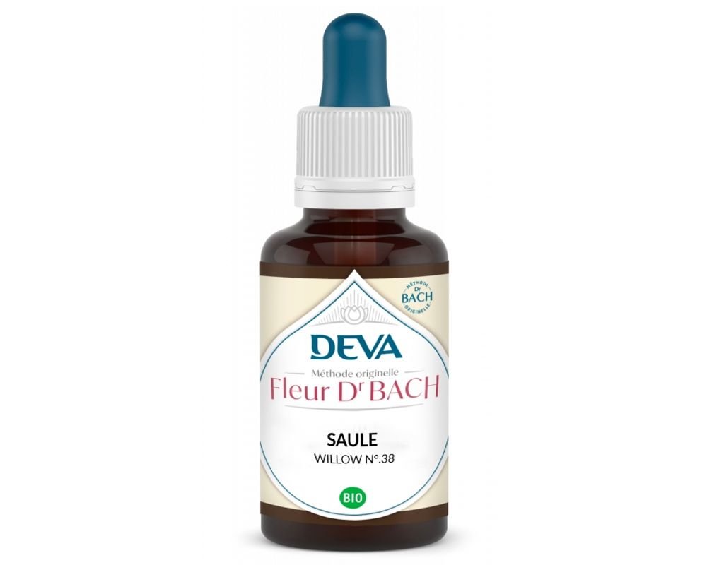Saule (Willow - N°38)
