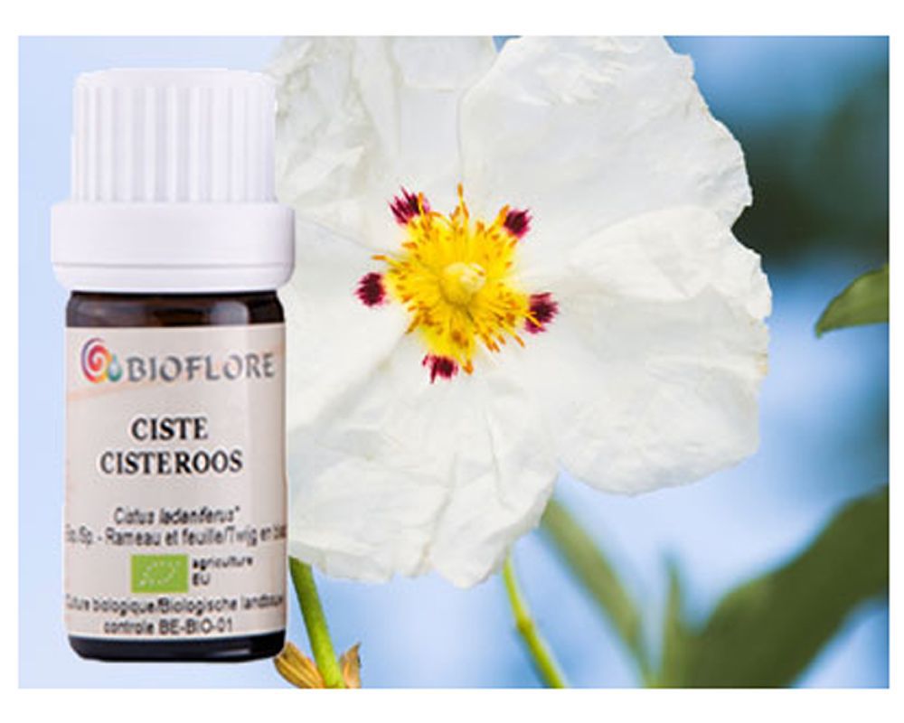 Huile essentielle de Ciste Ladanifère Bio - 5ml - Bioflore