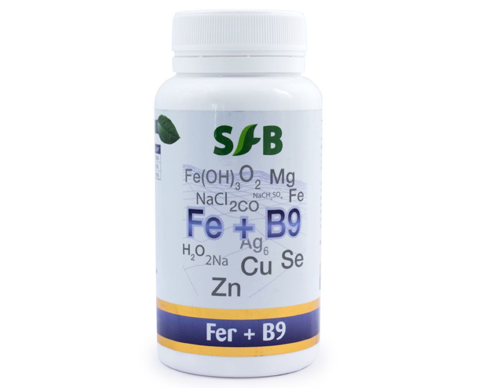 Fer + B 9 - Laboratoires SFB - 60 gélules de 250 mg