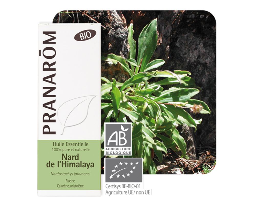 Huile essentielle de Nard de l’Himalaya - bio - 5ml - Pranarôm
