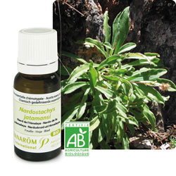 Huile essentielle de Nard de l’Himalaya - bio - 30ml - Pranarôm.