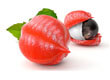 Guarana - Physical and cerebral Vitality