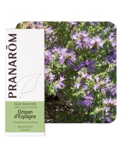 Corydothymus capitatus: natural essential oil of oregano Spain - Pranarom.