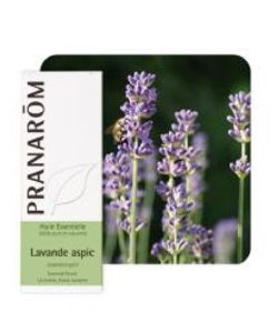 Lavender aspic (Lavandula spica) - Pranarôm - 10ml