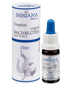 Orme (Elm): Fleurs de Bach n° 11 - 10ml - Miriana Flowers
