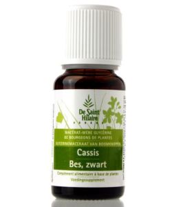 Bourgeon de cassis - bio - 30ml - De Saint-Hilaire