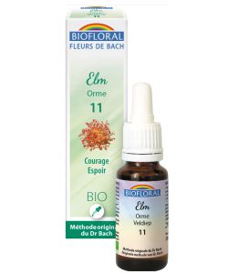 Orme (Elm) : Persévérer - Fleurs de Bach bio - élixir floral n° 11.